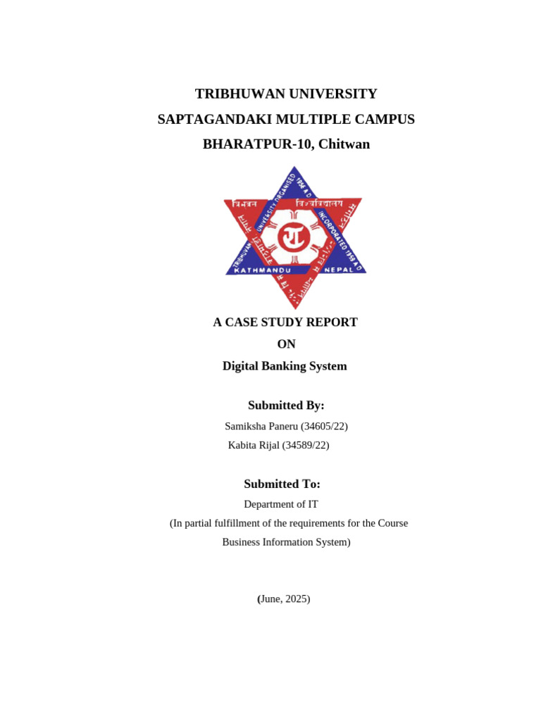 Digital Banking System Case Study Report | PDF | Computer Security ...
