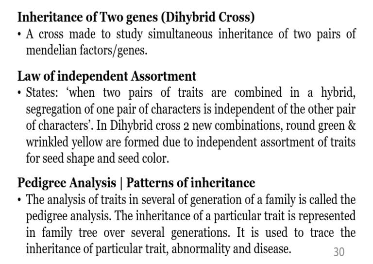 When Characters': Inheritance of Two Genes (Dihybrid Cross) | PDF
