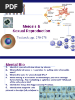 Meiosis Amoeba Sisters | PDF | Meiosis | Mitosis