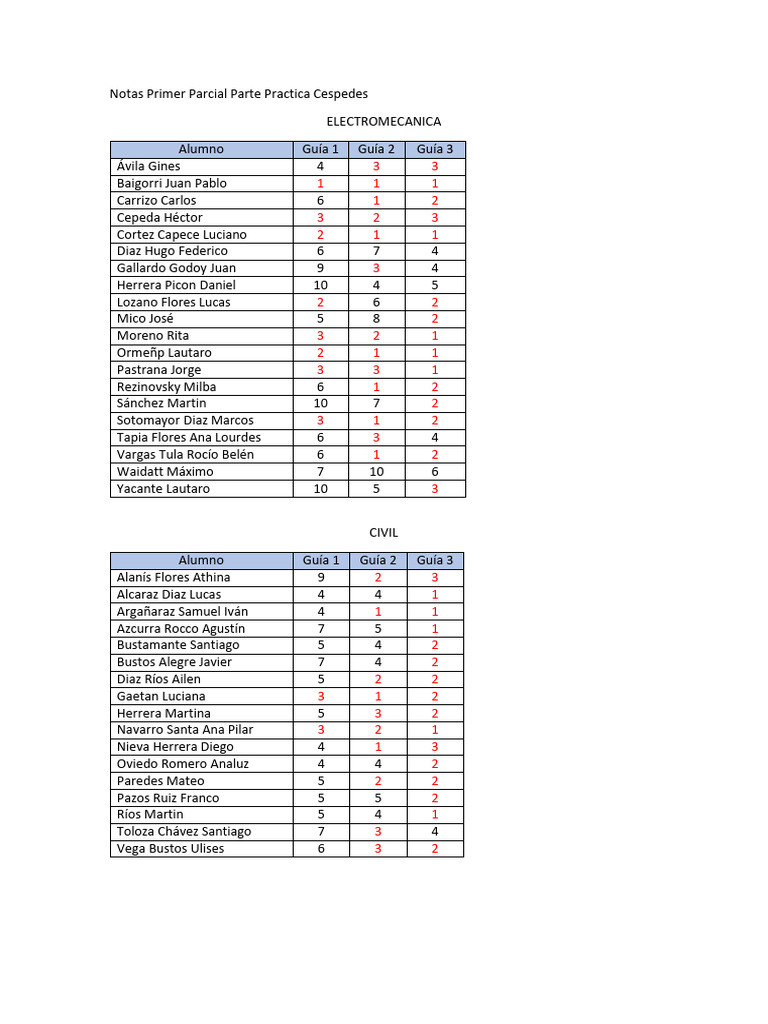 Notas Primer Parcial Practica Cespedes 2025 | PDF