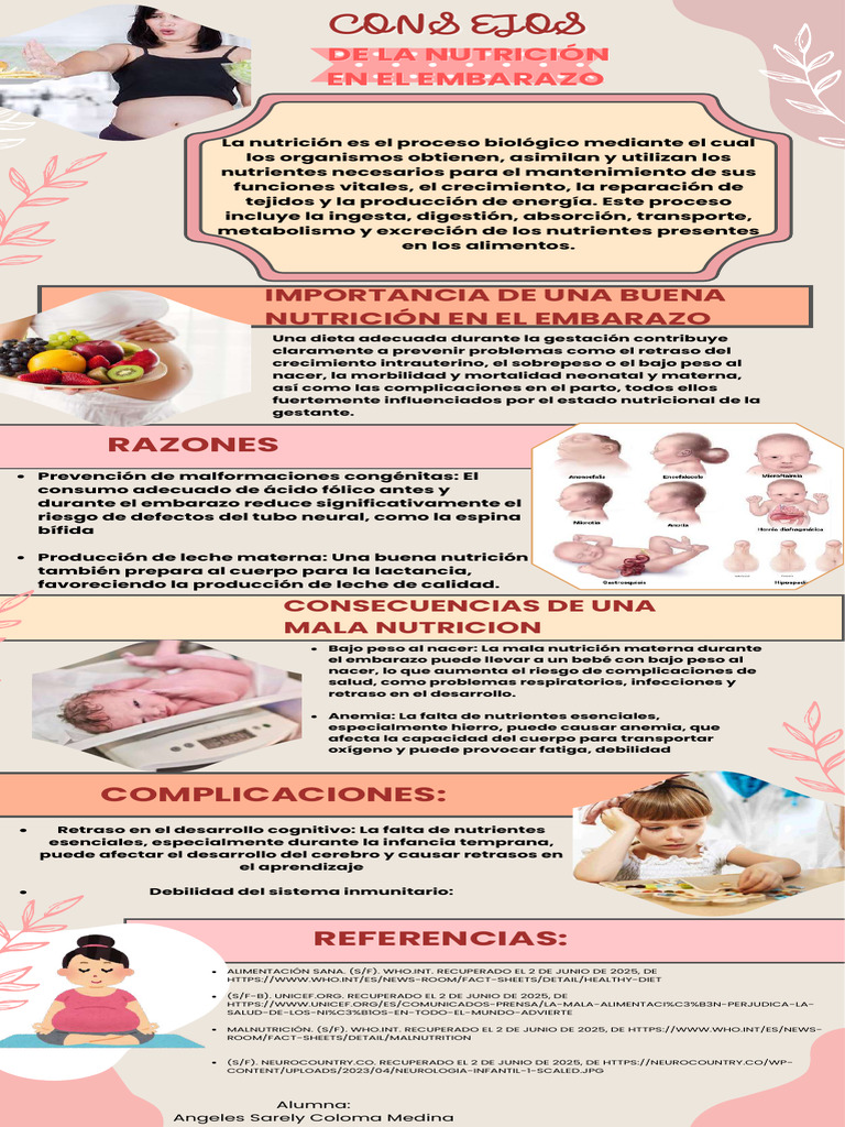 Infografía Alimentación Saludable Recomendaciones Orgánico Rosa y ...