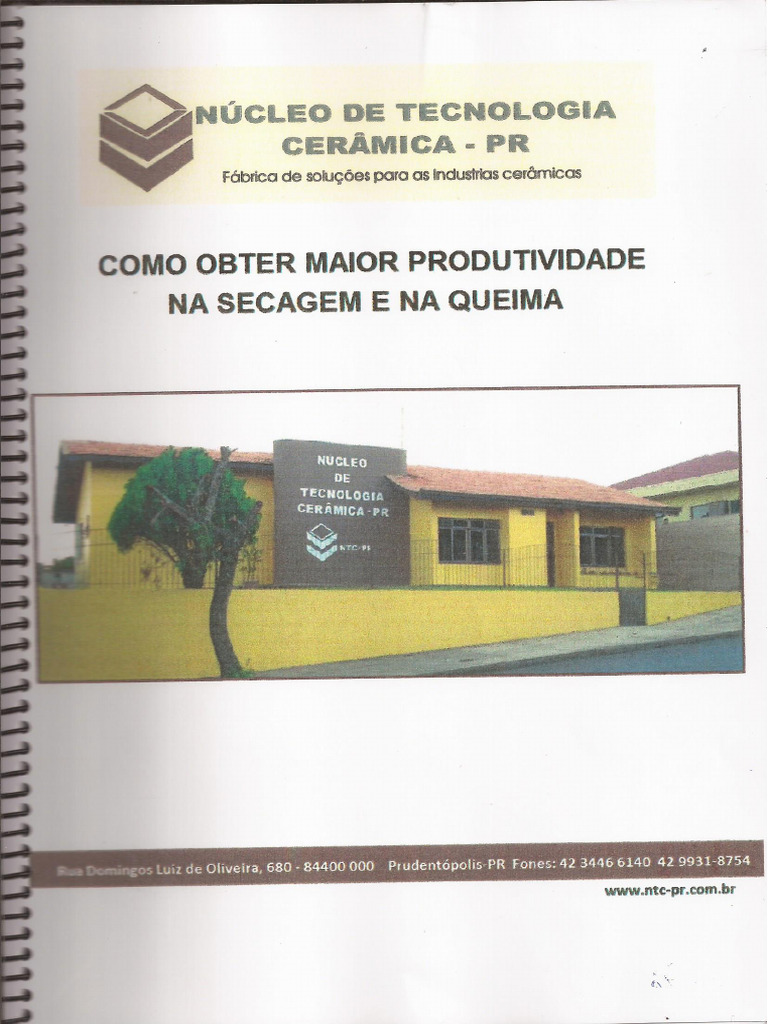 Apostila Como Obter Maior Produtividade Na Secagem e Na Queima | PDF