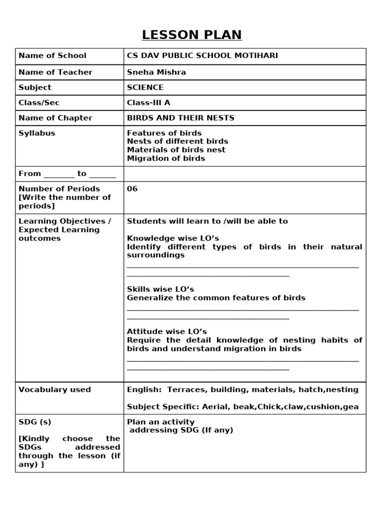 CL 3 e Lesson Plan BIRDS | PDF | Birds | Lesson Plan