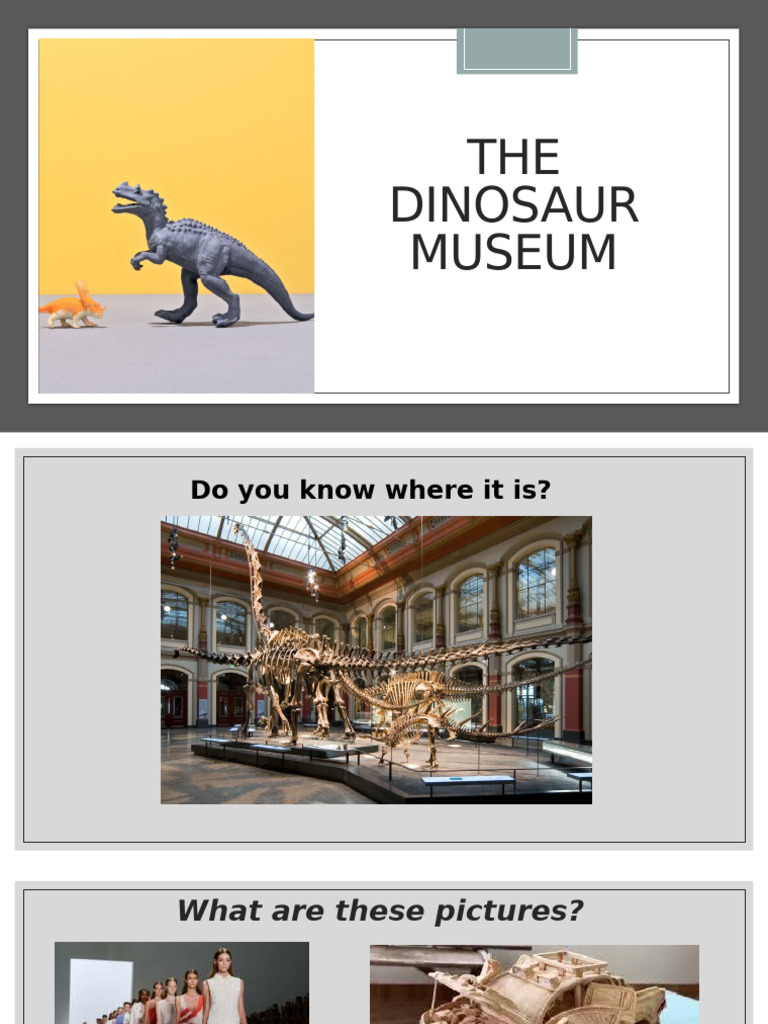 Dinosaur Museum: Models and Verbs | PDF | Language Families | Languages