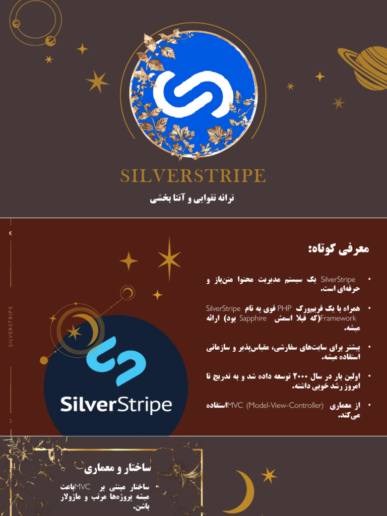 Silverstripe | PDF