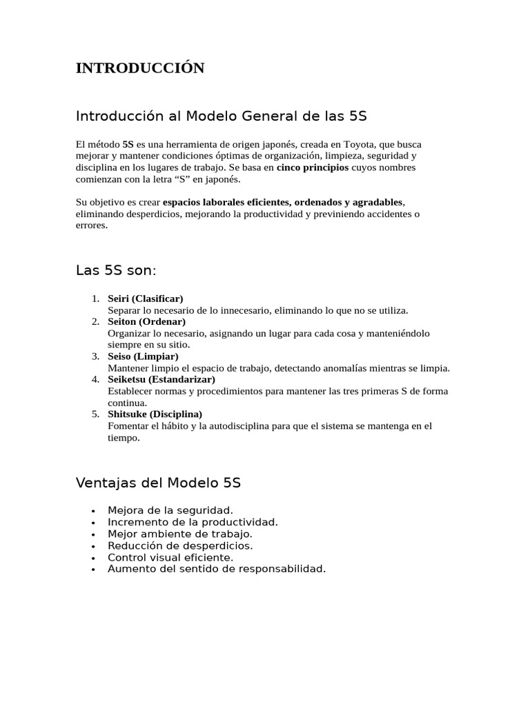 Modelo de Las 5s | PDF