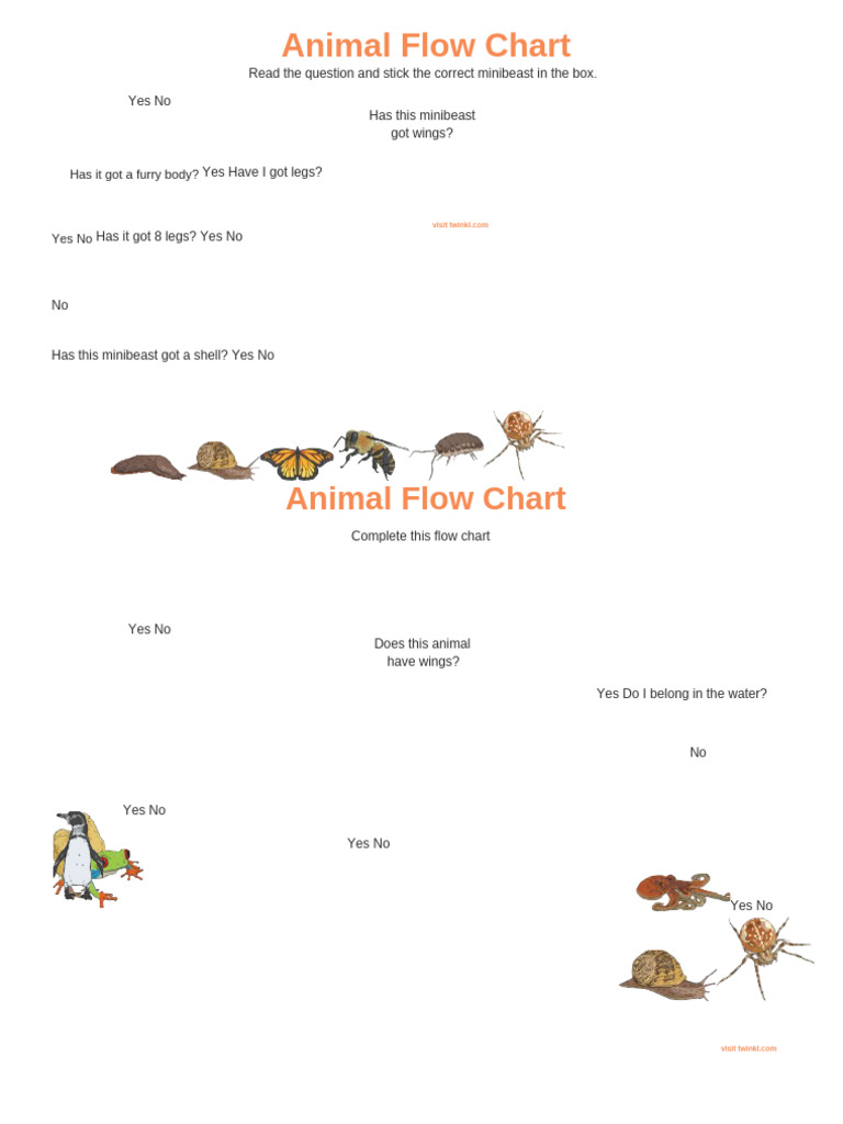 Animal Flow Chart Worksheet | PDF