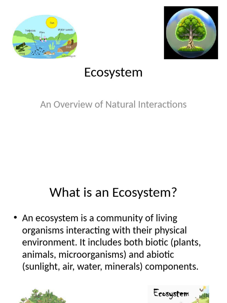 Ecosystem Presentation | PDF