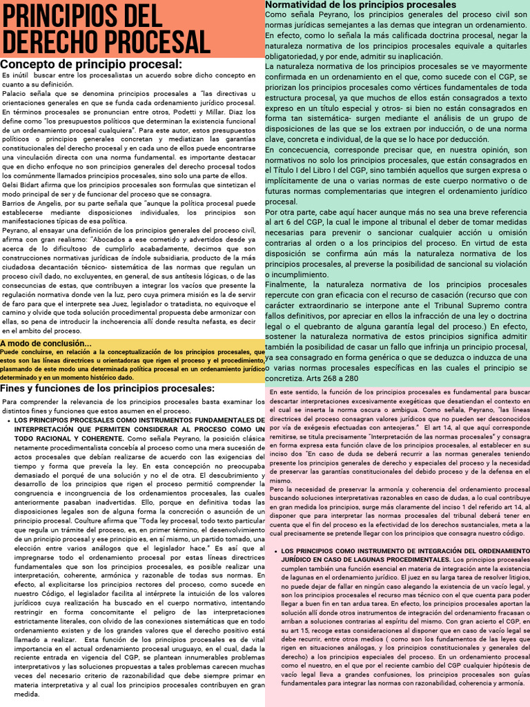 Principios Del Derecho Procesal | PDF | Ley procesal | Debido al proceso