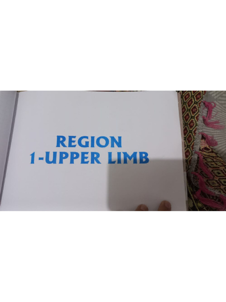 A1office - Anatomy Sketchbook 1st Year MBBS - 230911 - 221204 | PDF