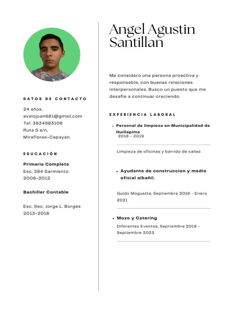 Curriculum Vitae Agustin | PDF