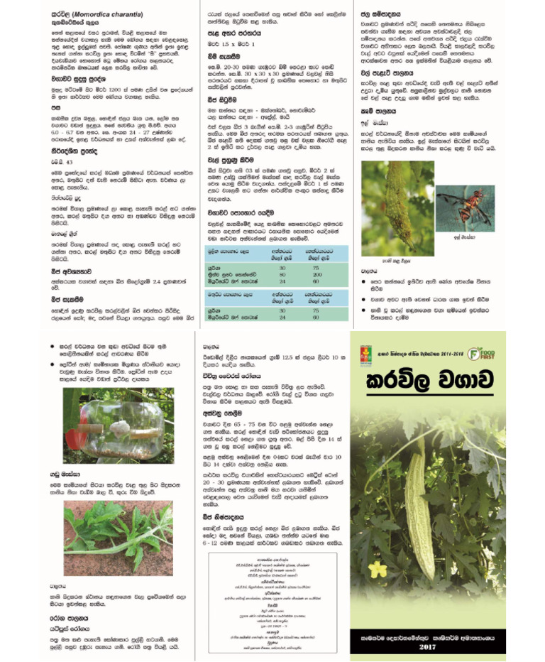 Bittergourd Leaflet Compressed | PDF