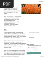 Carrots | PDF | Carrot | Agriculture