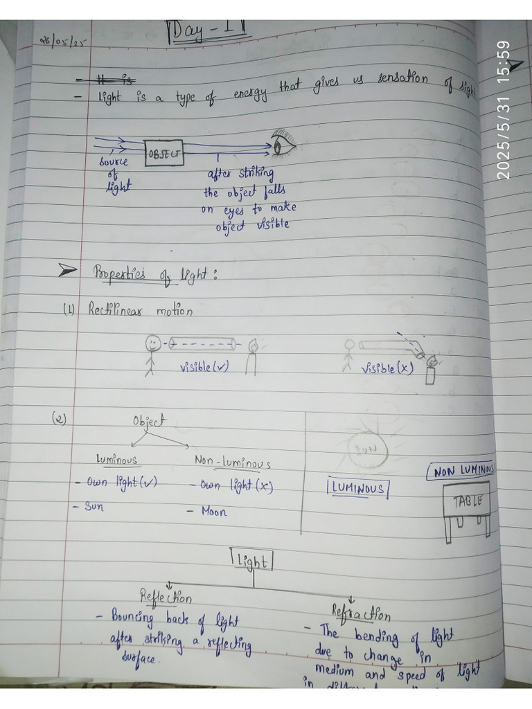 Revision LIGHT | PDF