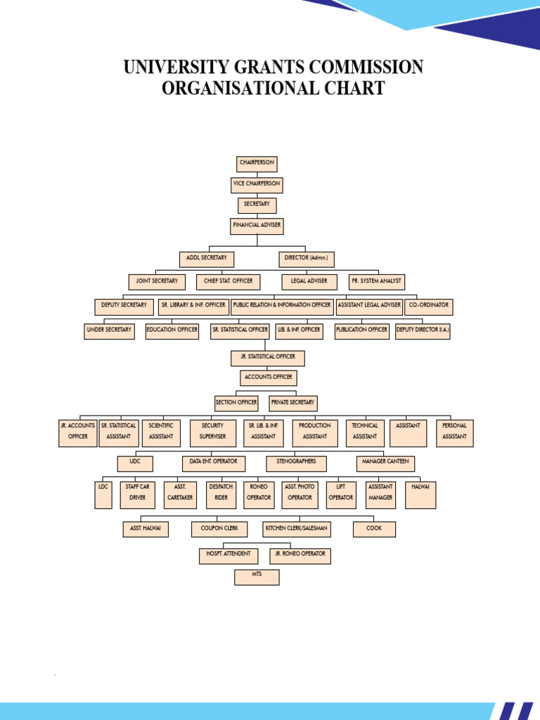 UGC Organizational Structure Overview | PDF | Government Of India ...