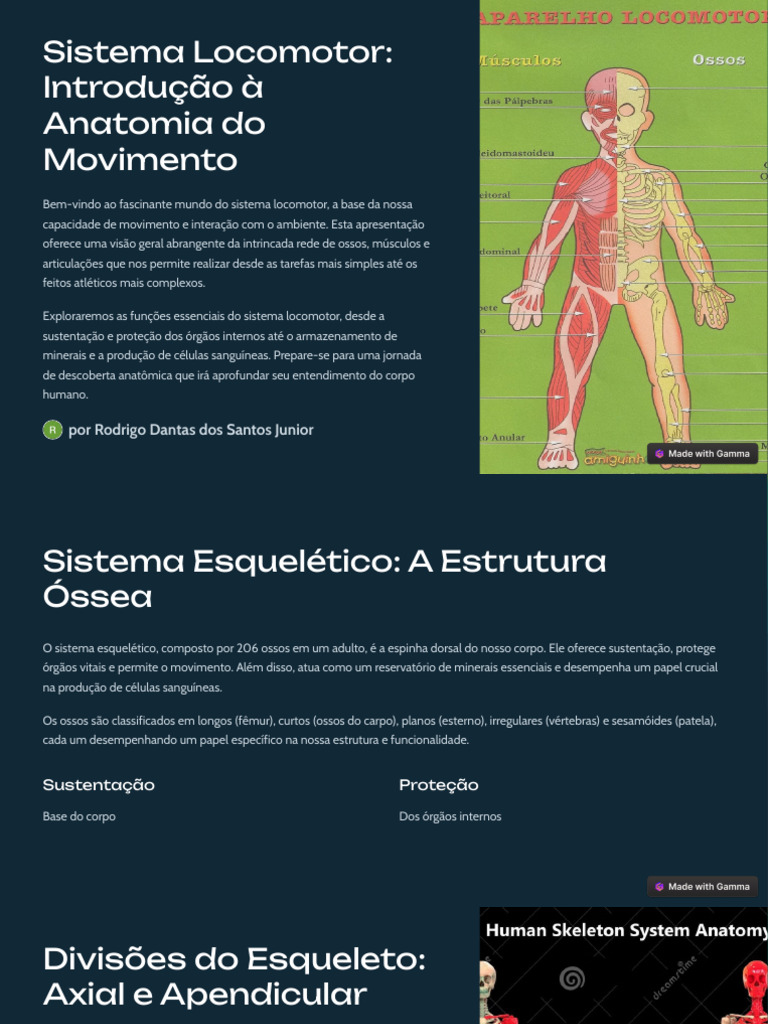 Sistema Locomotor Introducao A Anatomia Do Movimento Pdf Esqueleto