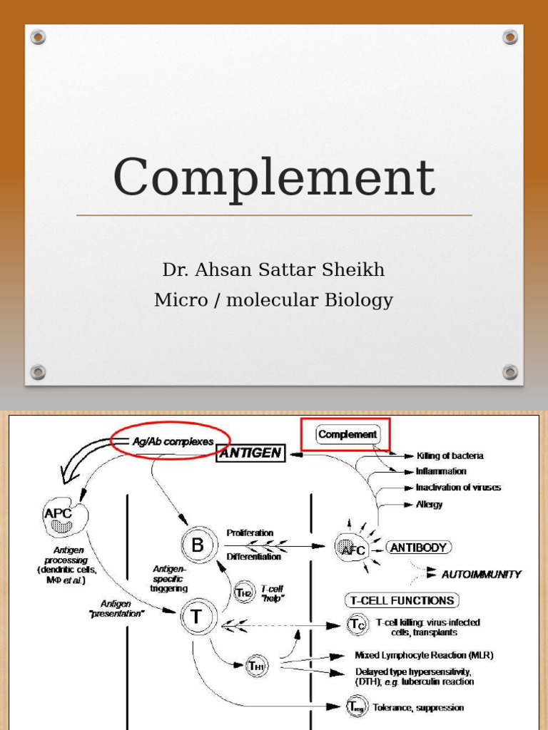 Complement System | PDF