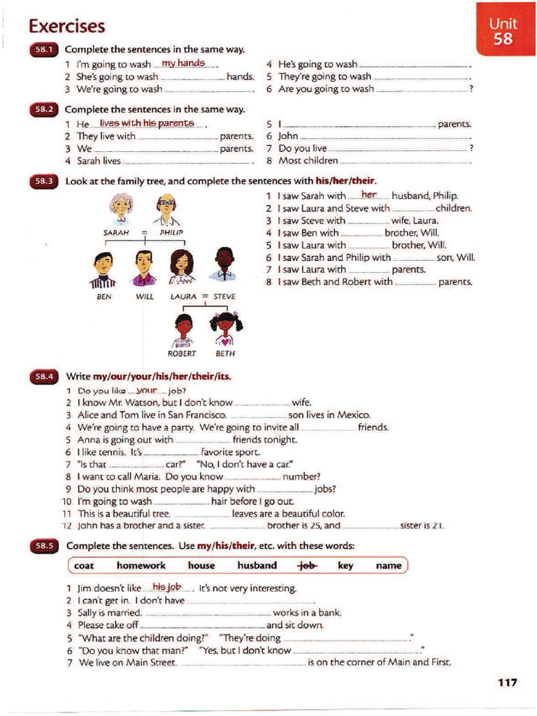 Homework Possessive Adjectives Exercises | PDF