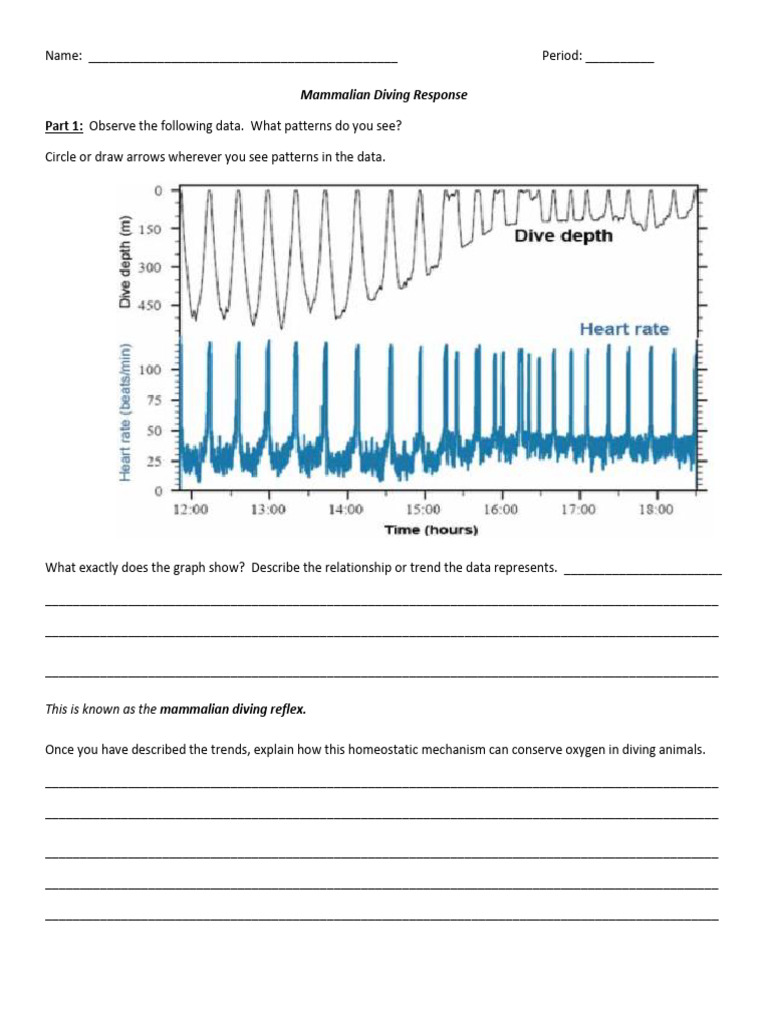 Mammalian Diving Reflex and Homeostasis | PDF | Breathing ...
