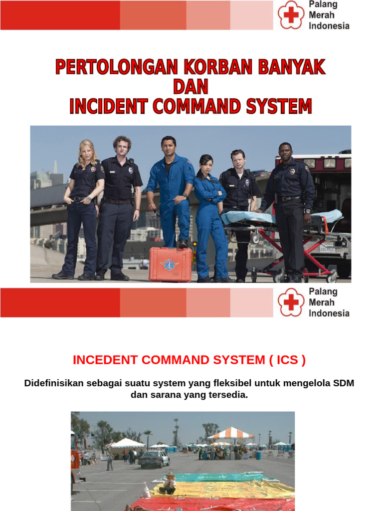 10 Triage | PDF
