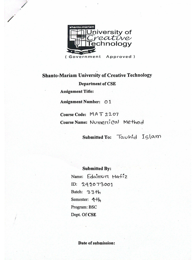 Numerical Method Theory Assignment | PDF