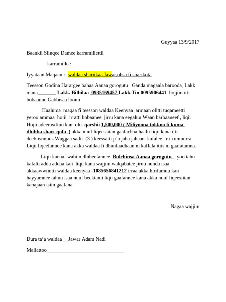 Iyyata Liqii Banki Sinqee | PDF