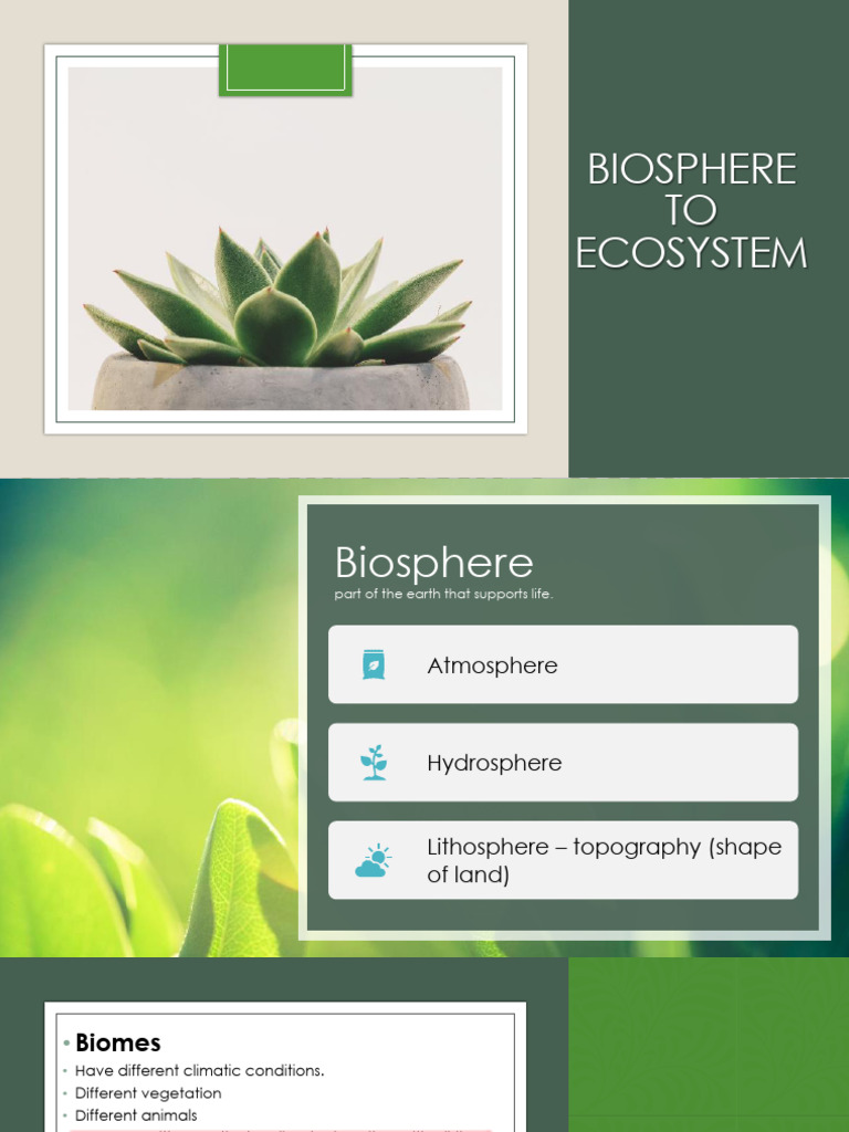Biosphere To Ecosystem Grade 10 Life Sciences | PDF | Food Web | Soil
