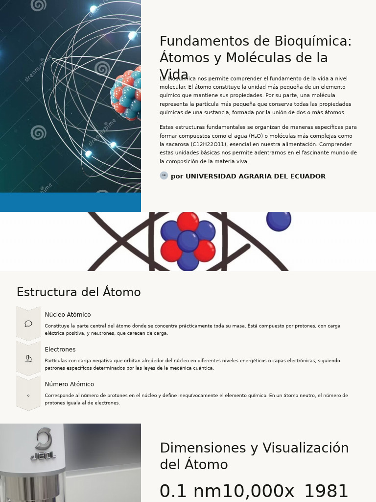 Fundamentos de Bioquimica Atomos y Moleculas de La Vida | PDF | Rna ...
