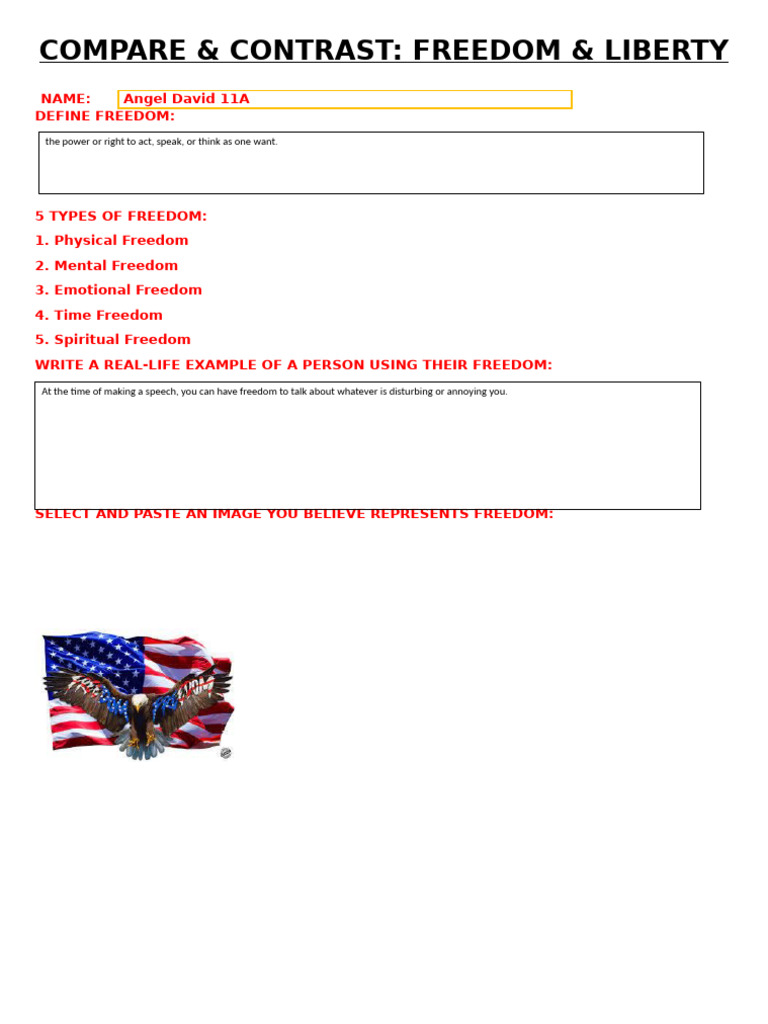 Freedom & Liberty | PDF