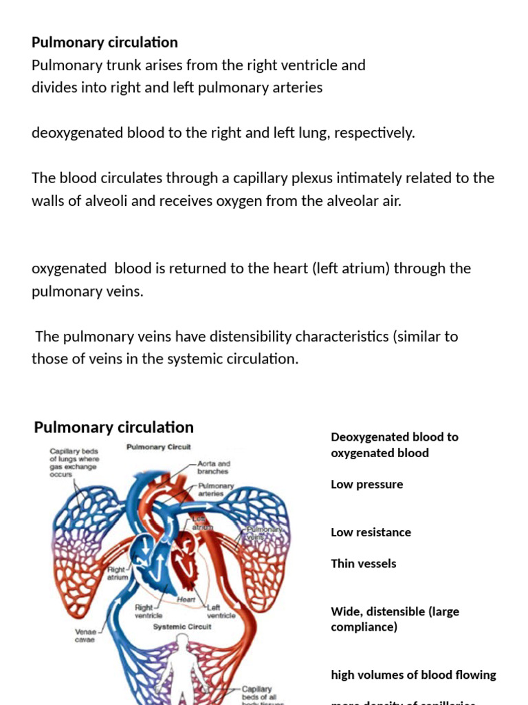 Pulmonary Circulation | PDF | Blood Pressure | Circulatory System