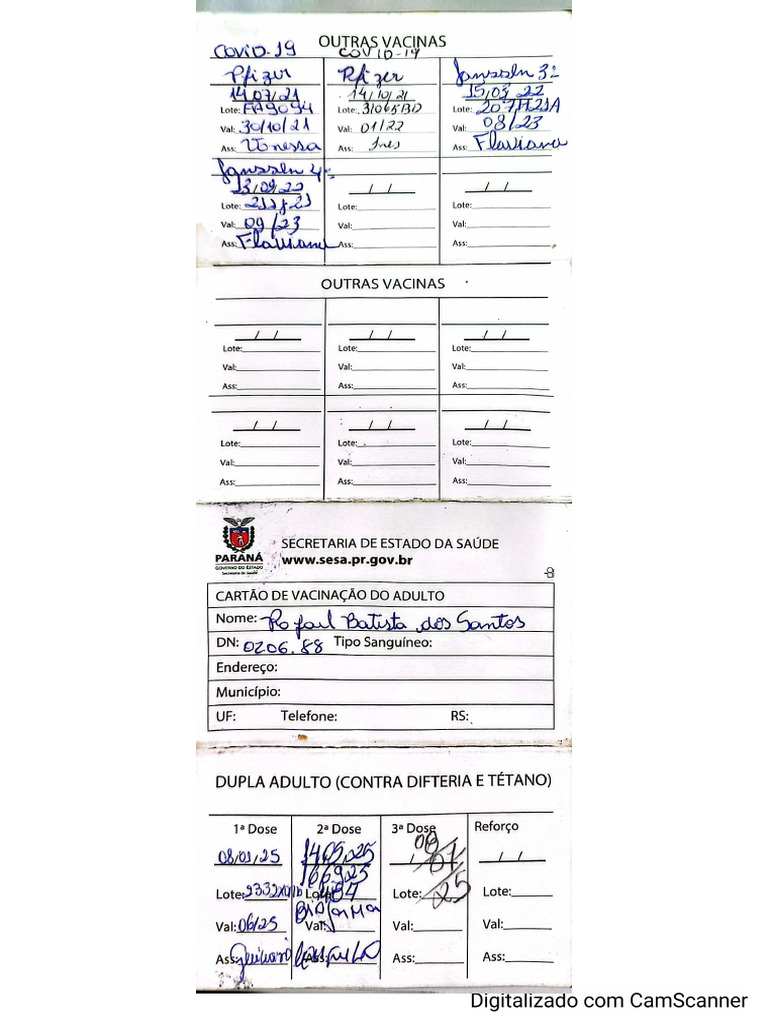 Carteira de Vacina Rafael Batista | PDF