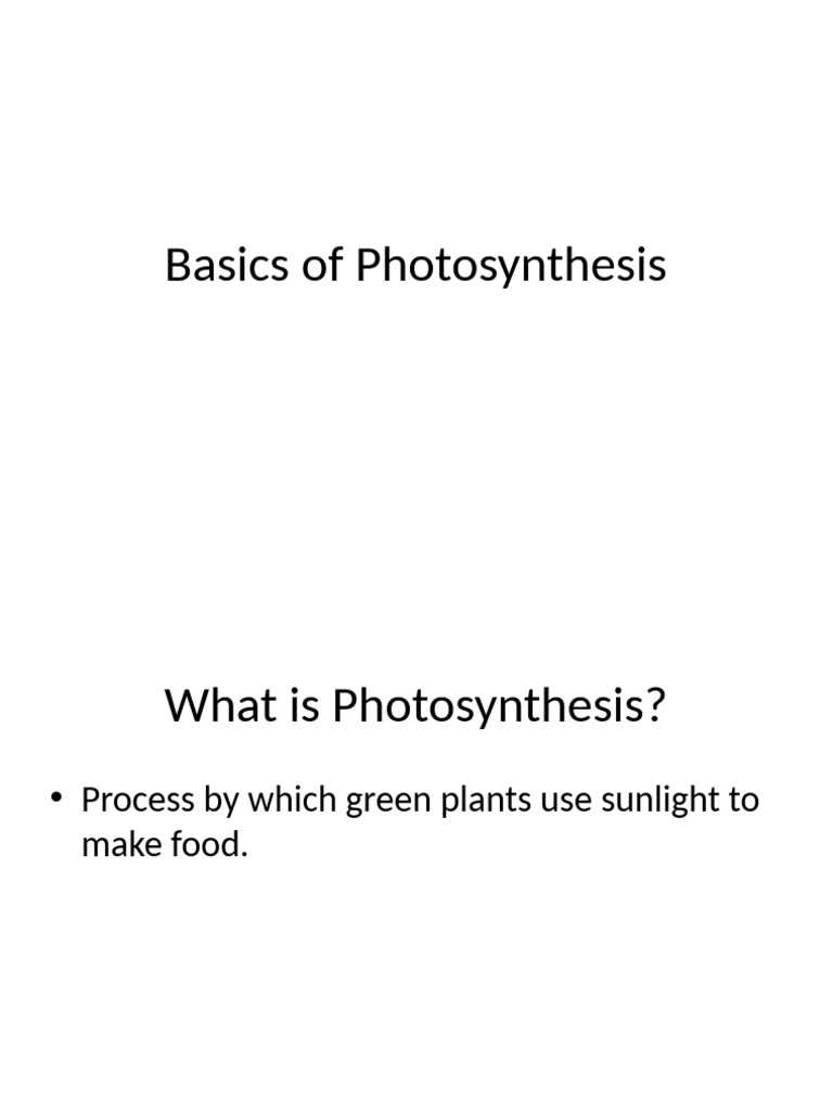 Photosynthesis Class Notes | PDF