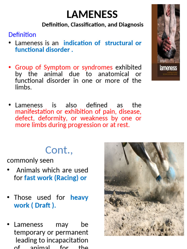 2.00 Lameness, Definition, Classification and Diagnosis | PDF | Foot | Diseases And Disorders