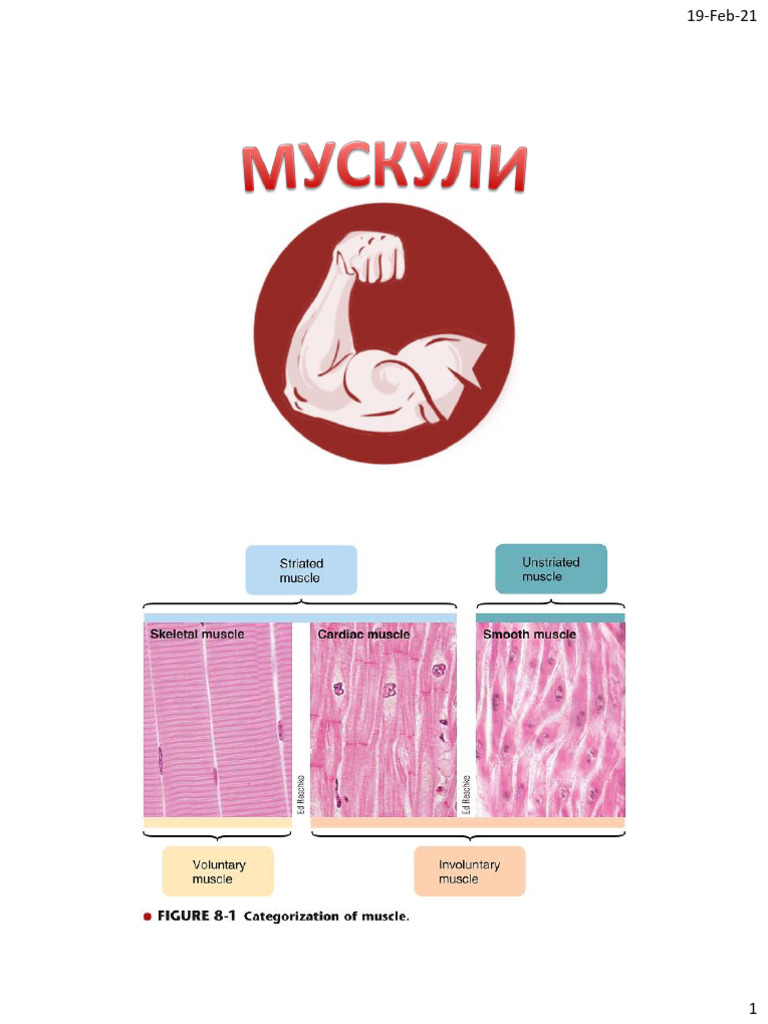 Predavanje 1 - 3 | PDF