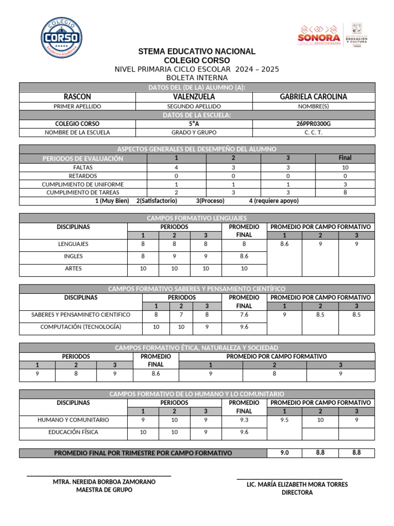 Boleta Gabriela Rascon | PDF | Aprendizaje