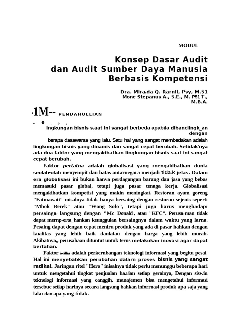 Audit SDM Berbasis Kompetensi: Panduan Dasar | PDF