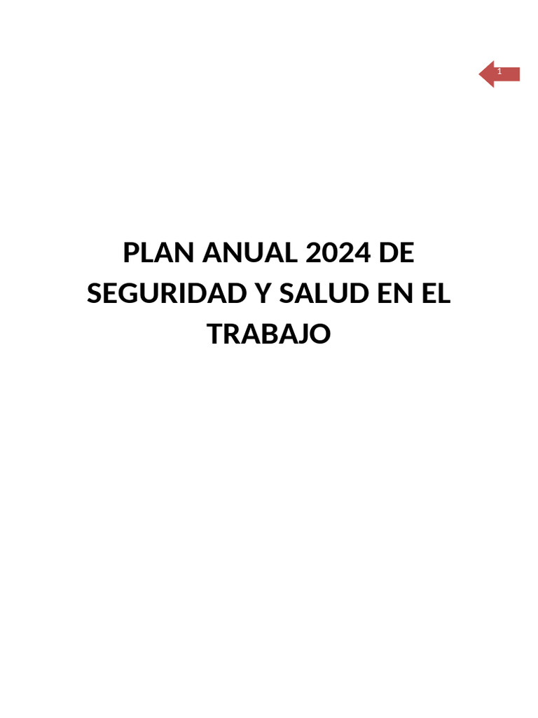 Plan Anual de Seguridad y Salud en El Trabajo 2024 | PDF | Seguridad y salud ocupacional | La ...