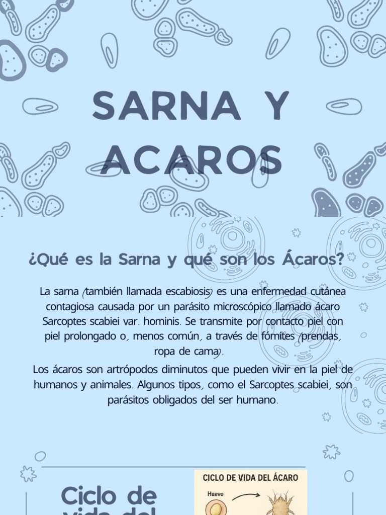 Sarna: Causas, Síntomas y Tratamiento | PDF | Enfermedades y trastornos ...