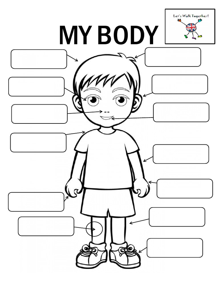 Body Parts Fill-in-the-Blank Worksheet | PDF