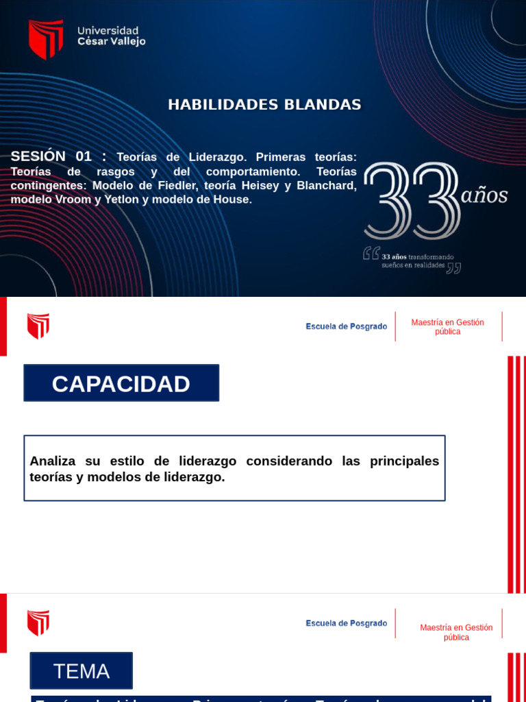 Presen HB Ppt1 | PDF | Liderazgo | Toma de decisiones