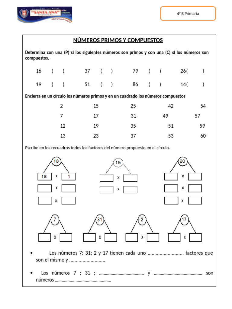 Matematica - Numeros Primos y Compuestos | PDF