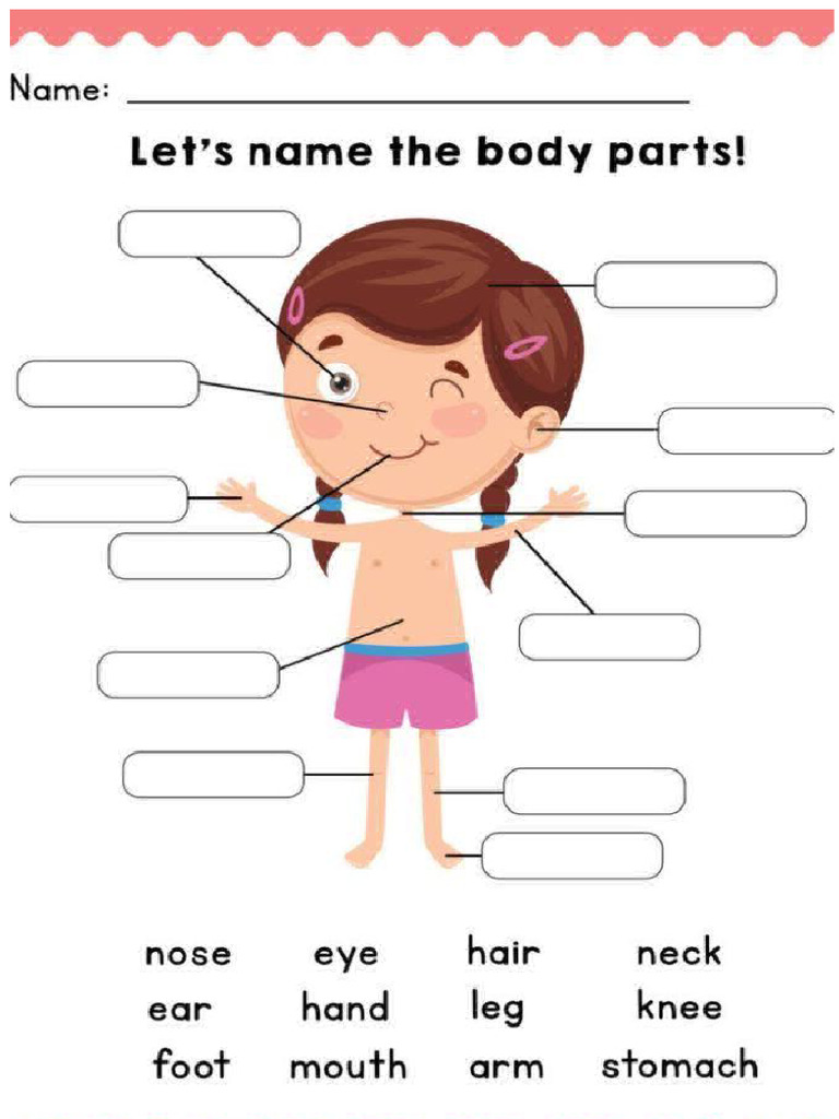 Body Parts Fill in The Blanks. | PDF