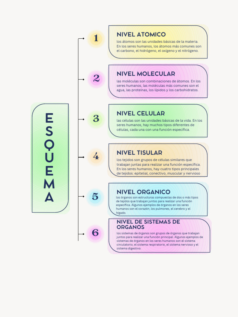 Cartel Póster Esquema Mapa Mental Moderno Colorido Verde PDF | PDF
