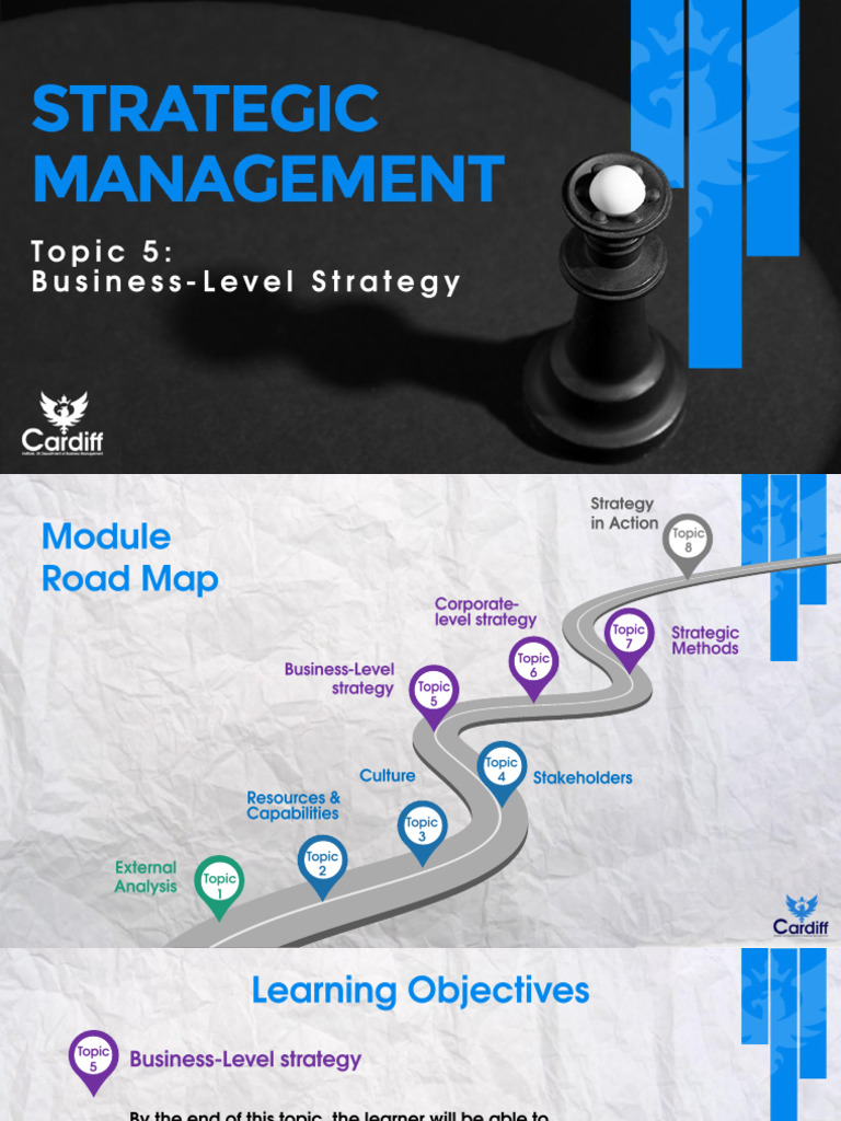 Topic 5 - Business Level Strategy v.3 (1mar25) | PDF