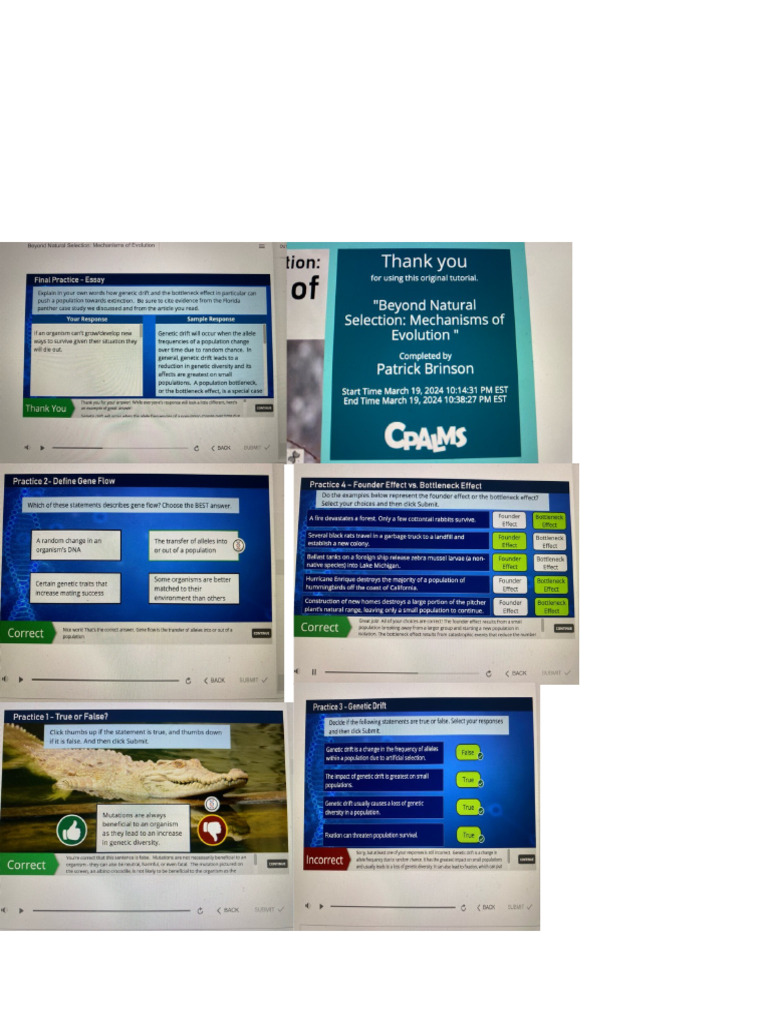 3q c palm copy copy | PDF