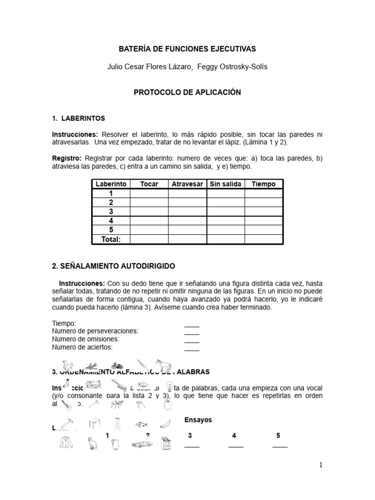 Protocolo de Aplicación Banfe | PDF | Rojo | Azul