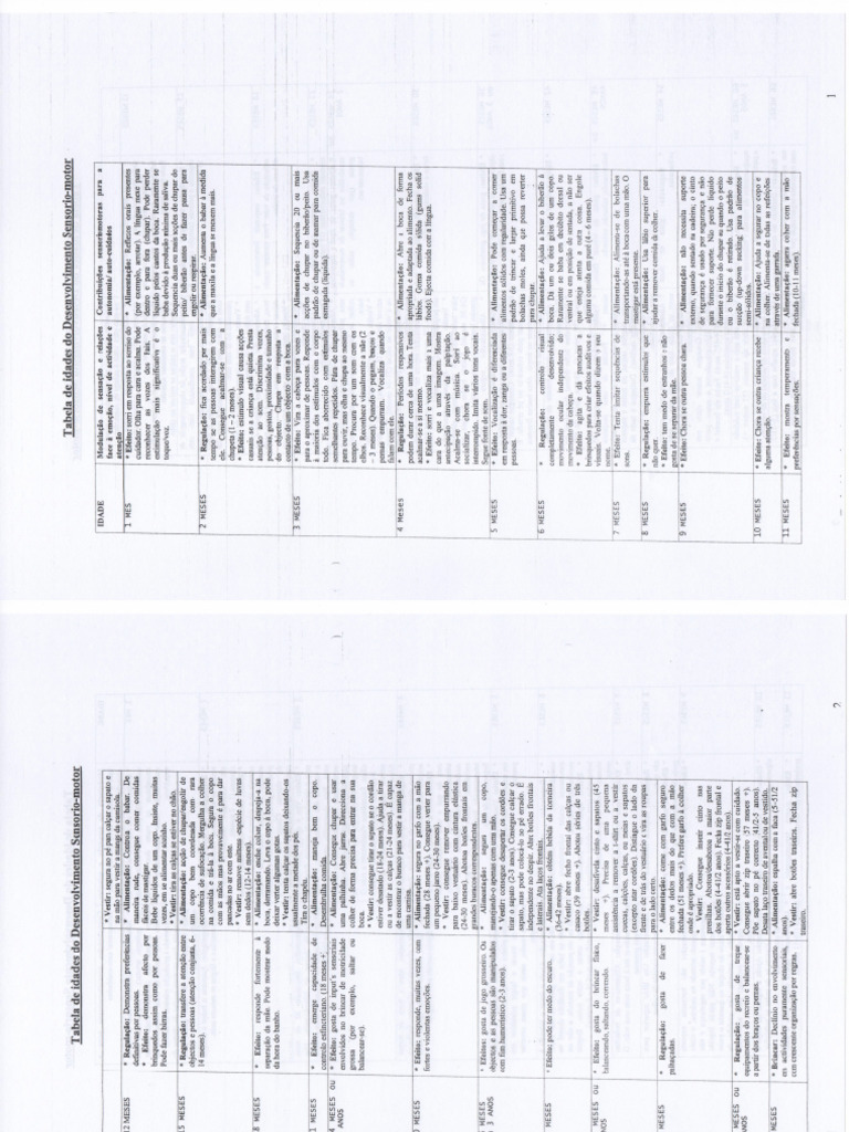 Desenv. Sensorio Motor | PDF
