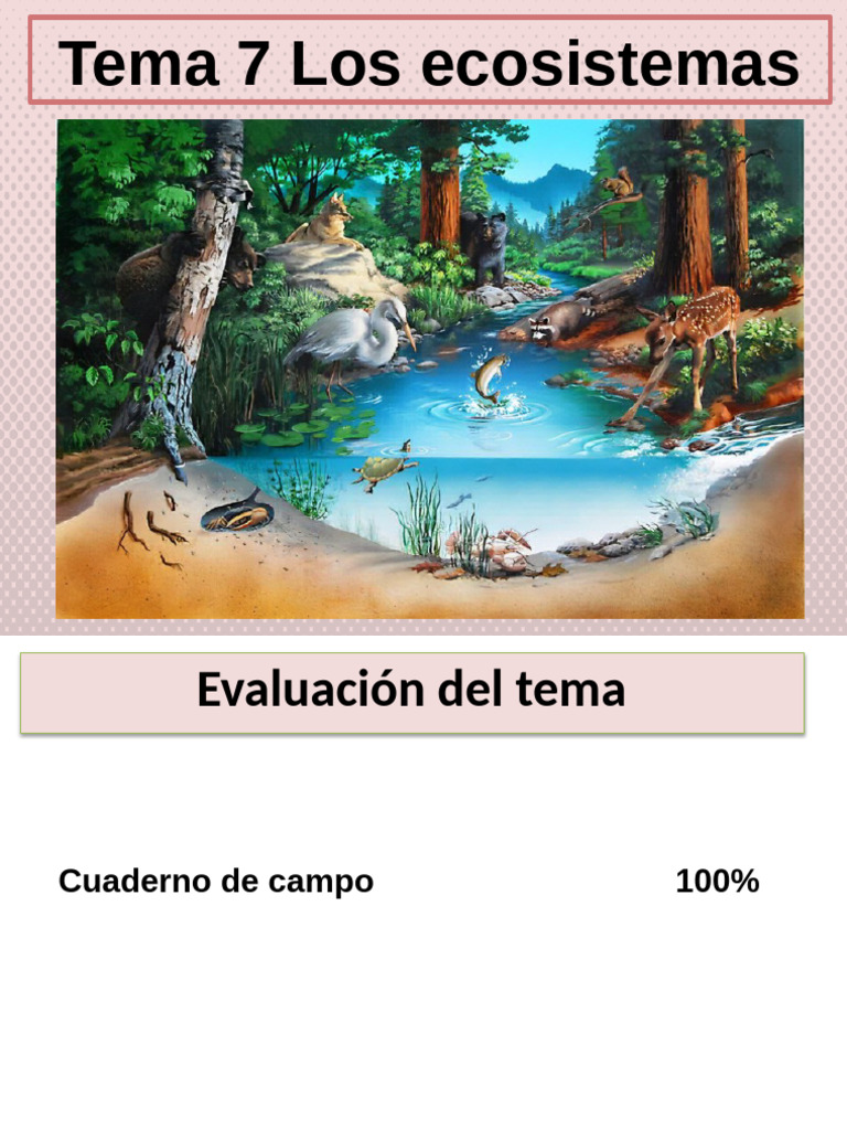 Tema 7 Los Ecosistemas | PDF | Ecosistema | Organismos
