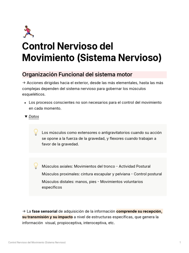 Control Nervioso Del Movimiento (Sistema Nervioso) | PDF | Músculo ...