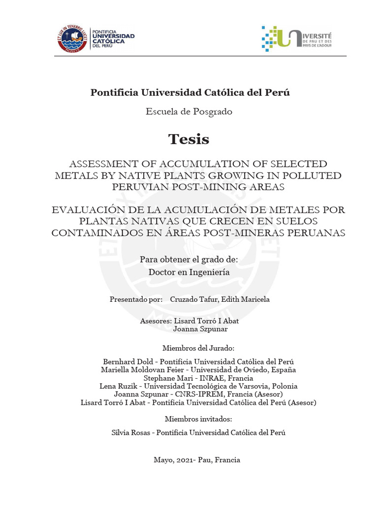 Cruzado Tafur Edith Maricela | PDF | Soil | Mining